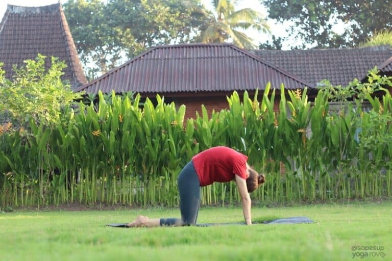 20 Yoga Poses for Complete Beginners - Yoga Rove