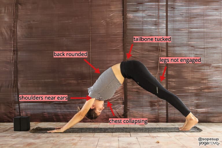 How to Do Downward Dog for Inflexible Beginners - Yoga Rove