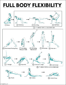 The Yoga Pose Guide: Beginner Edition - Yoga Rove