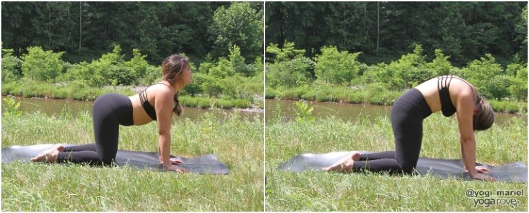 The Best Yin Yoga Sequence for Beginners - Yoga Rove