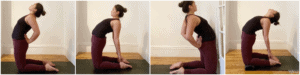 How to Practice Camel Pose - Yoga Rove